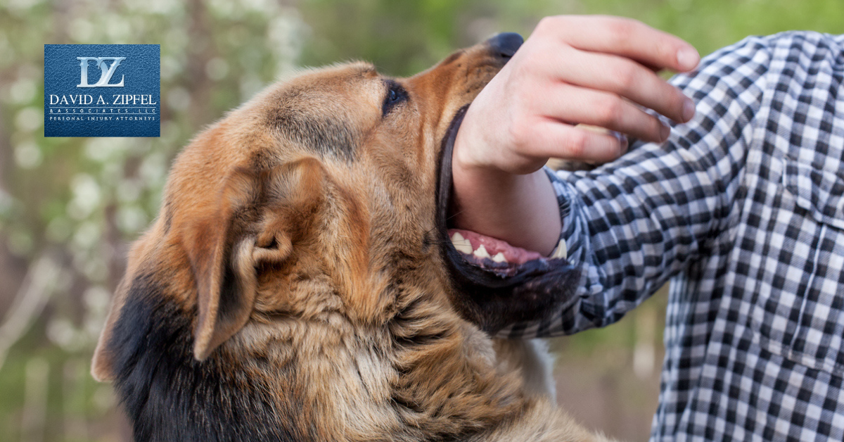Understanding the Different Types of Injuries from Dog Bites